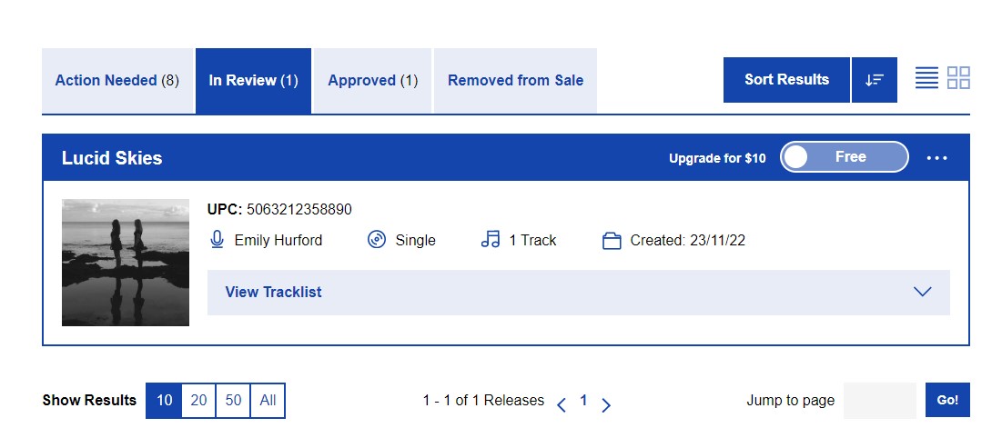 What do releases 'In Review' mean? - RouteNote Support Hub